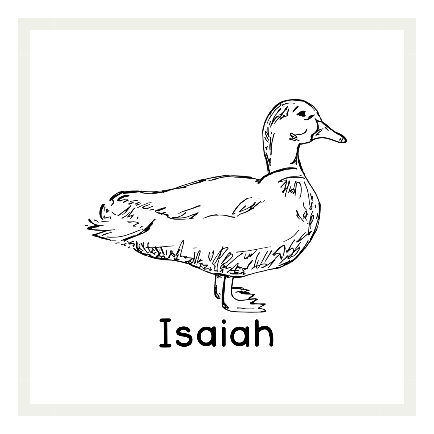 Duck Sketch – Tiny Tots Childrens Clothing